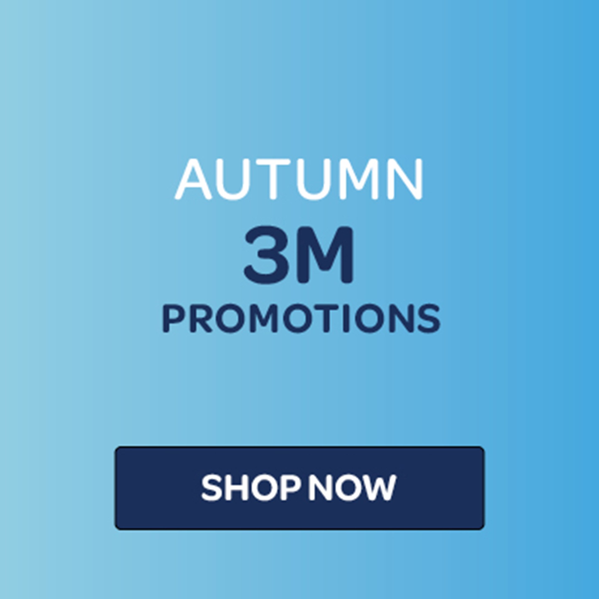 Seasonal Offers and Promotions