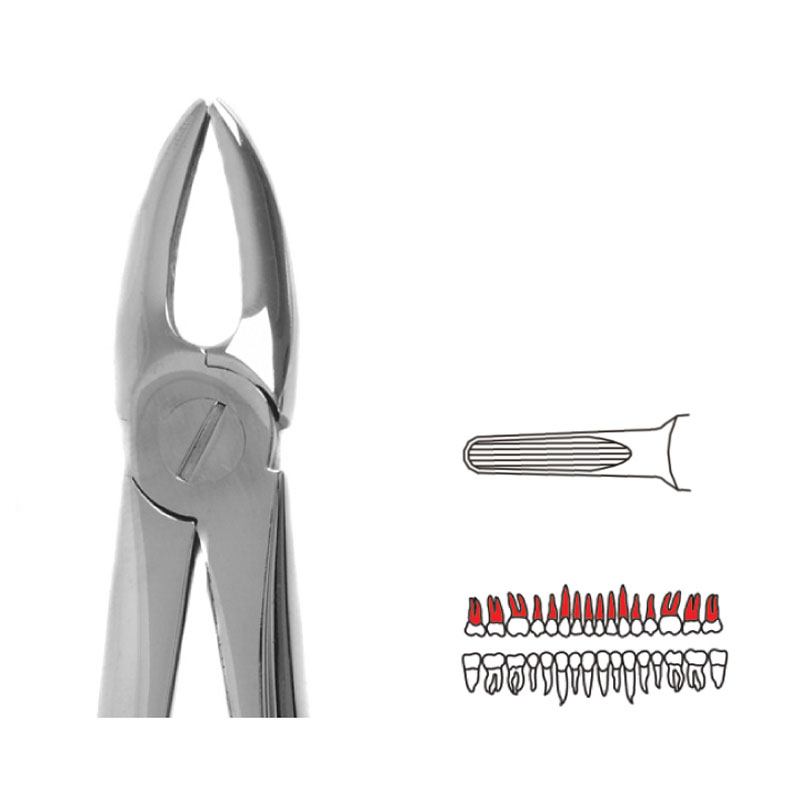 DFO152 : Forceps Autoclavable 113 Upper Roots (Martin)