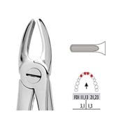 Buy Extraction Forceps - Dental Hand Instruments - DD