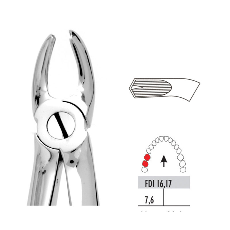 DFO112 : Forceps Autoclavable 17 Upper Molars Right