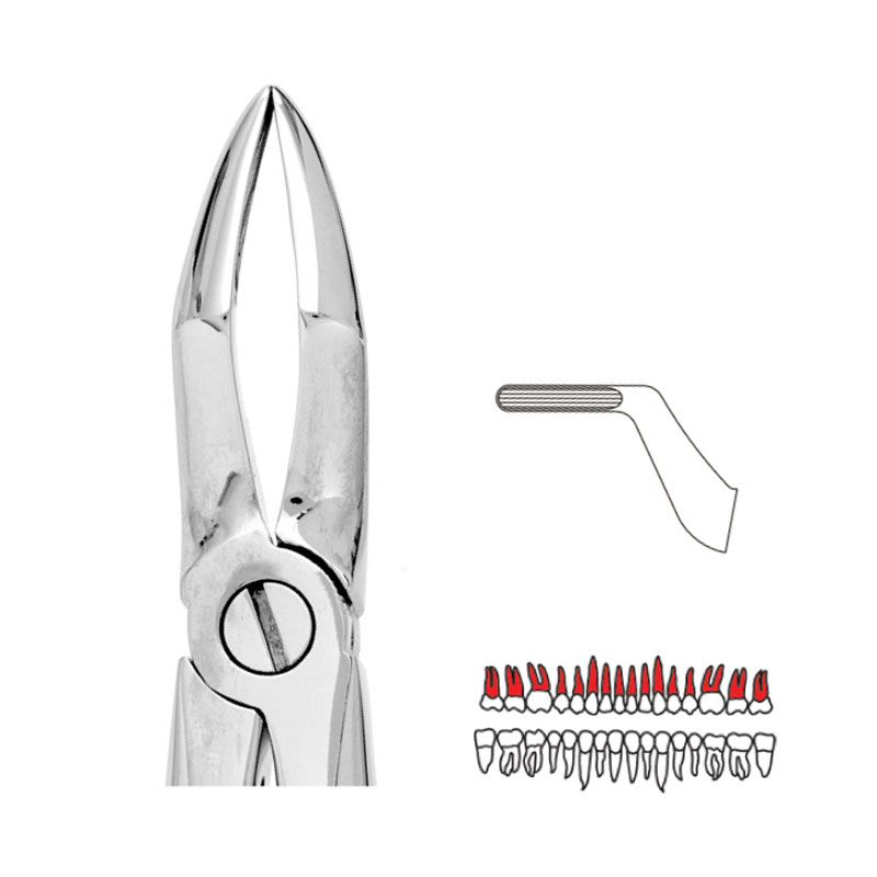 DFO125 : Forceps Autoclavable 51 Upper Roots 3rd Molars