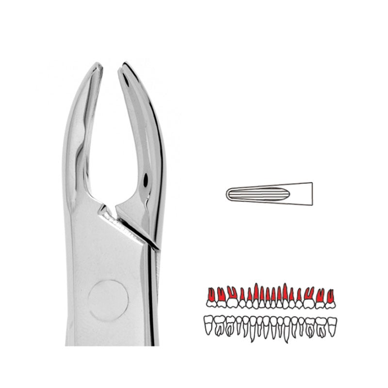 DFO137 : Forceps Autoclavable 76 Upper Roots (Read)
