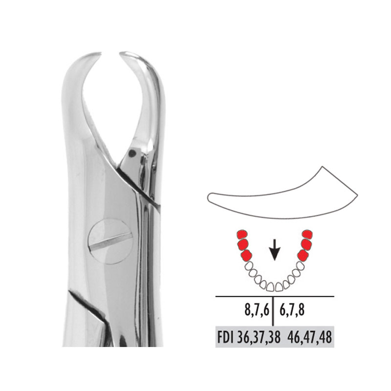 DFO140 : Forceps Autoclavable 87 Lower Molars (Cowhorn)