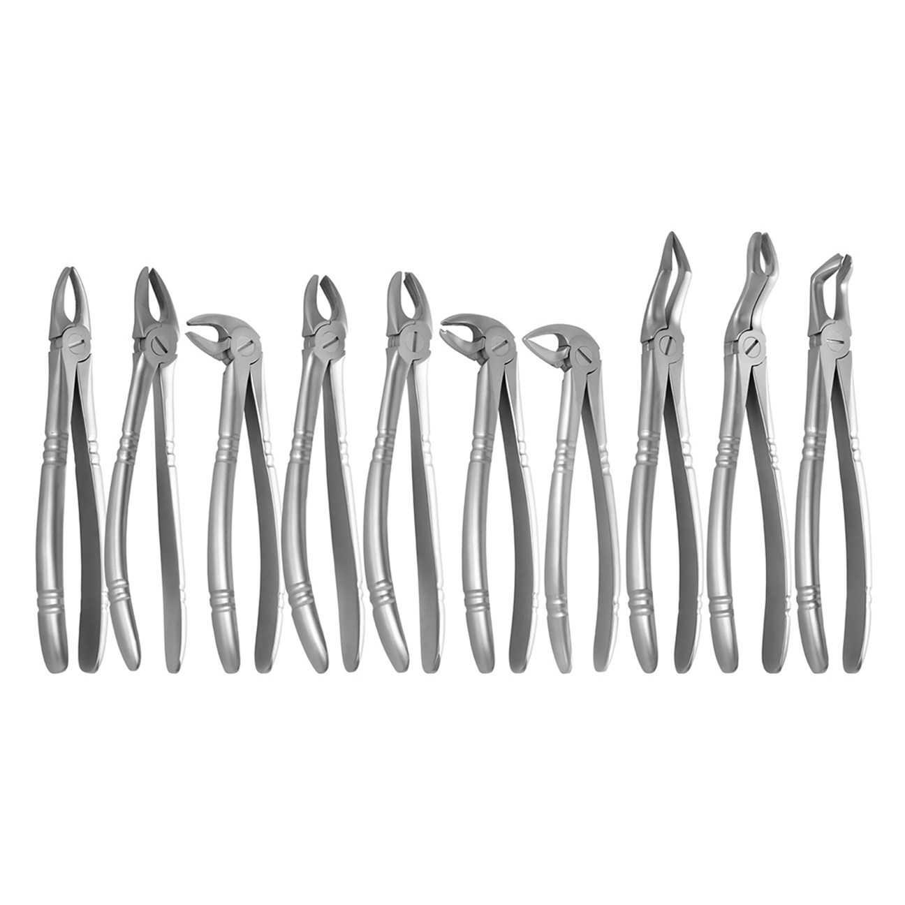 DUA218 : Standard Extraction Forceps Set Ergonomic