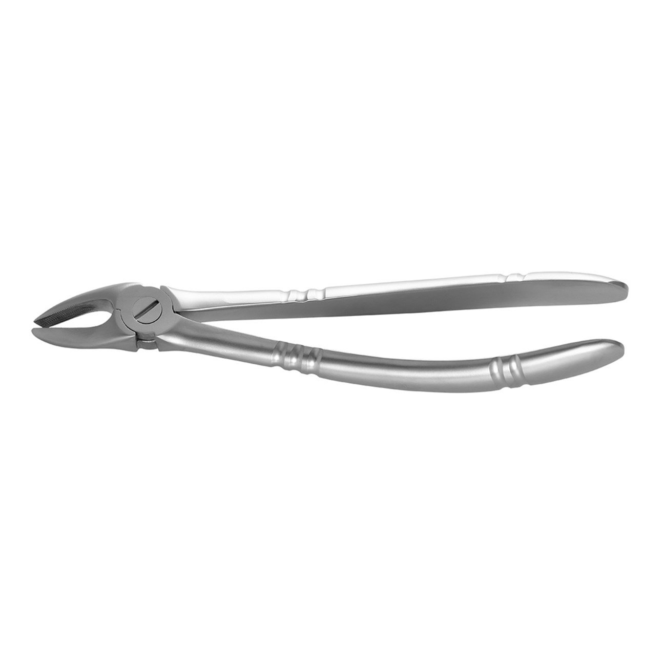DUA220 : Standard Extraction Forcep 7 upper premolars Ergonomic