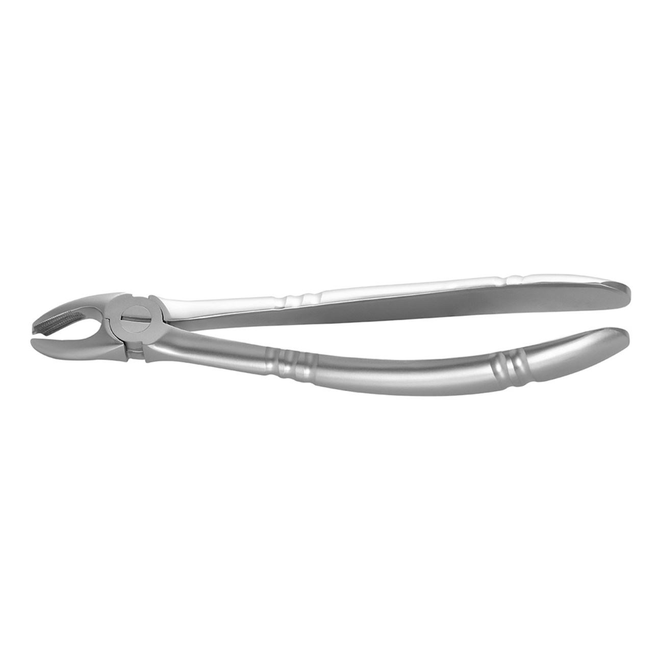 DUA223 : Standard Extraction Forcep 18 upper left molars Ergonomic