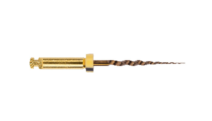 EKM025 : ProTaper Gold Sterile 19mm SX