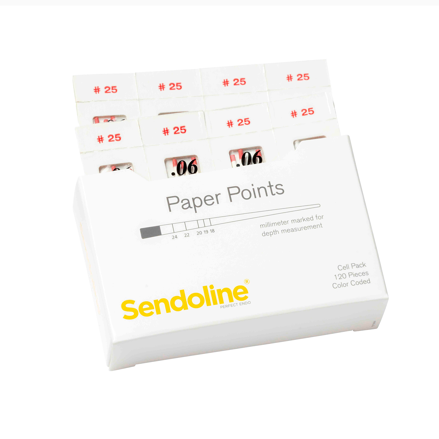 EVS752 : The S1 System S1 Paper Points Standard .0625