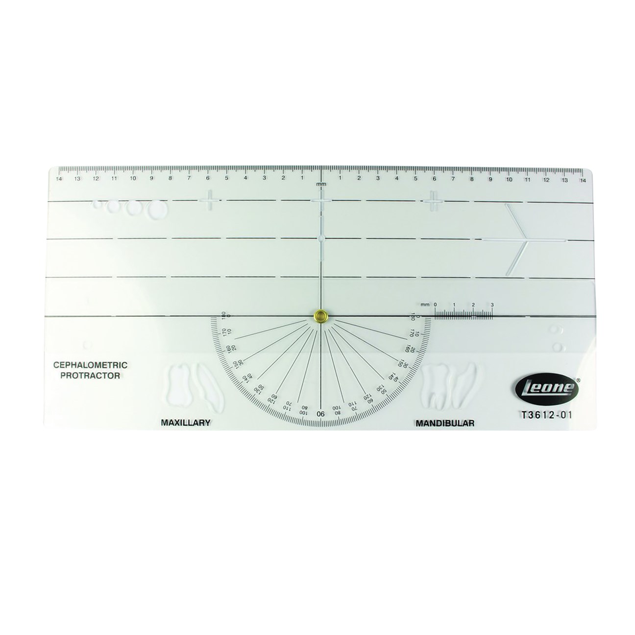 EXR113 : Cephalometric Protractor