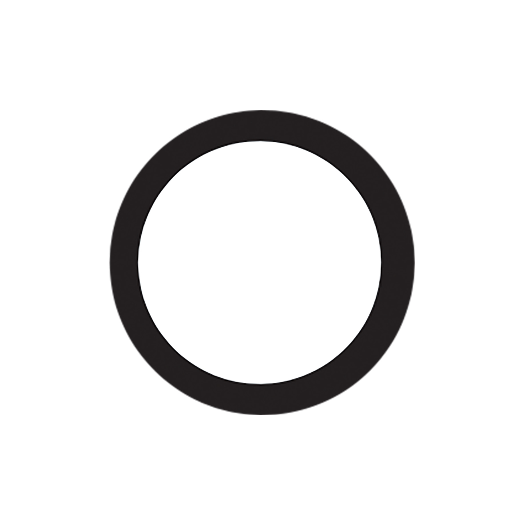 PTI011 : O Ring for the Cavitron Jet Plus