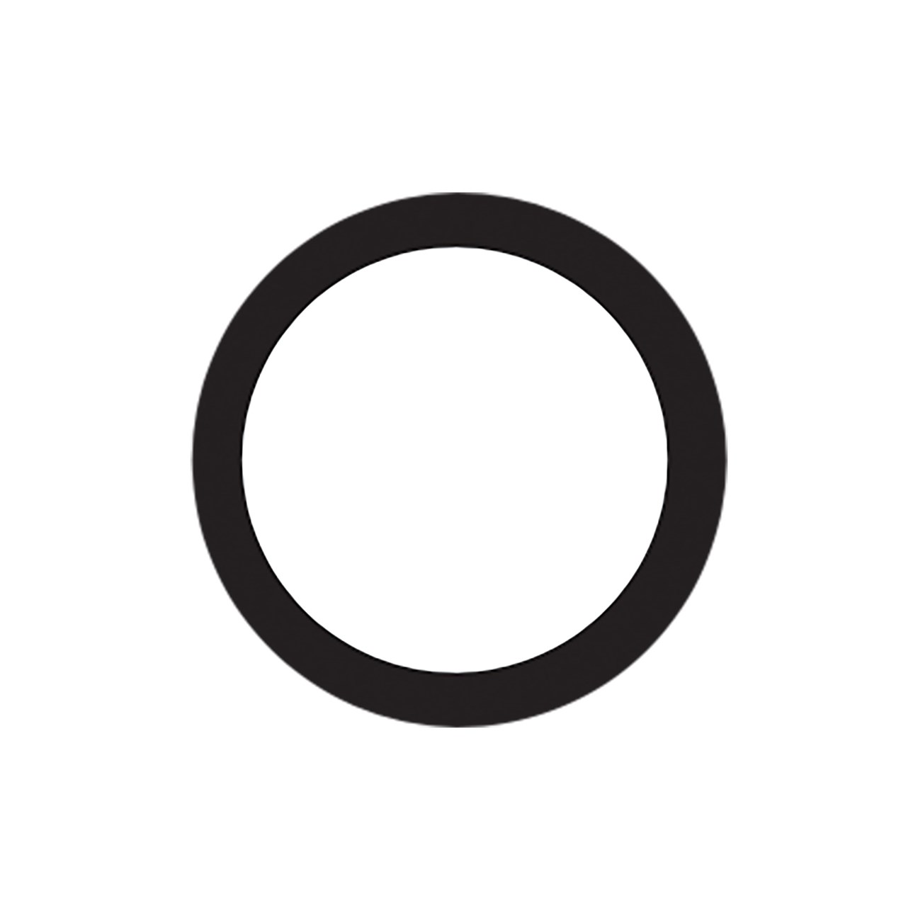 PTI011 : O Ring for the Cavitron Jet Plus