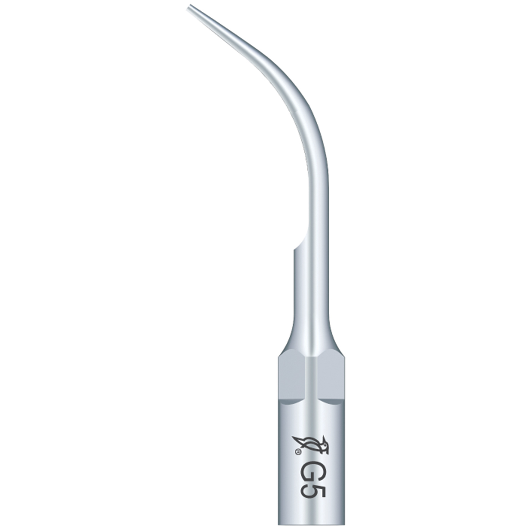 QSQ164 : Ultrasonic Scaling Tips G5