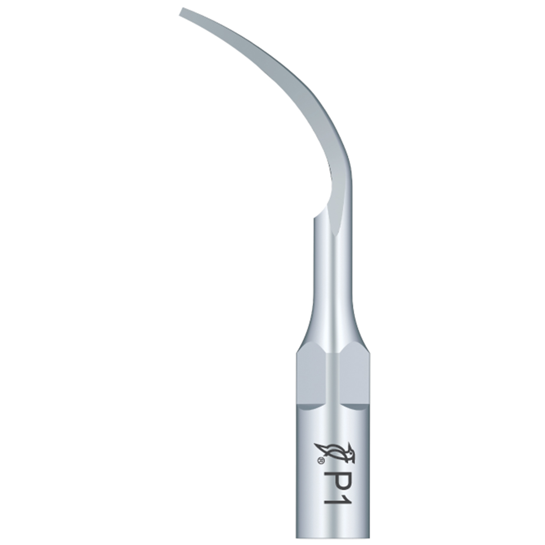 QSQ166 : Ultrasonic Scaling Tips P1