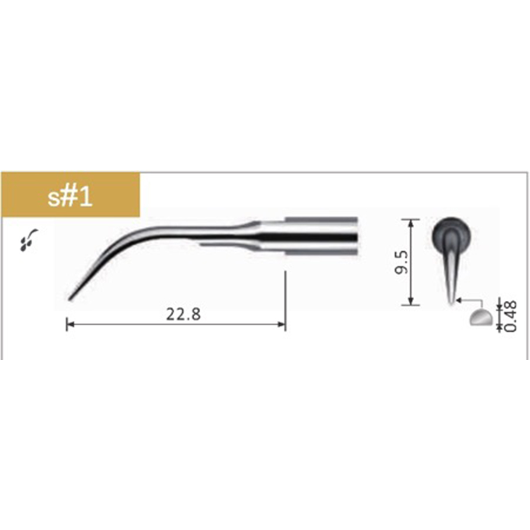 QSU054 : Scaling Tips SType Scaling Tip A1