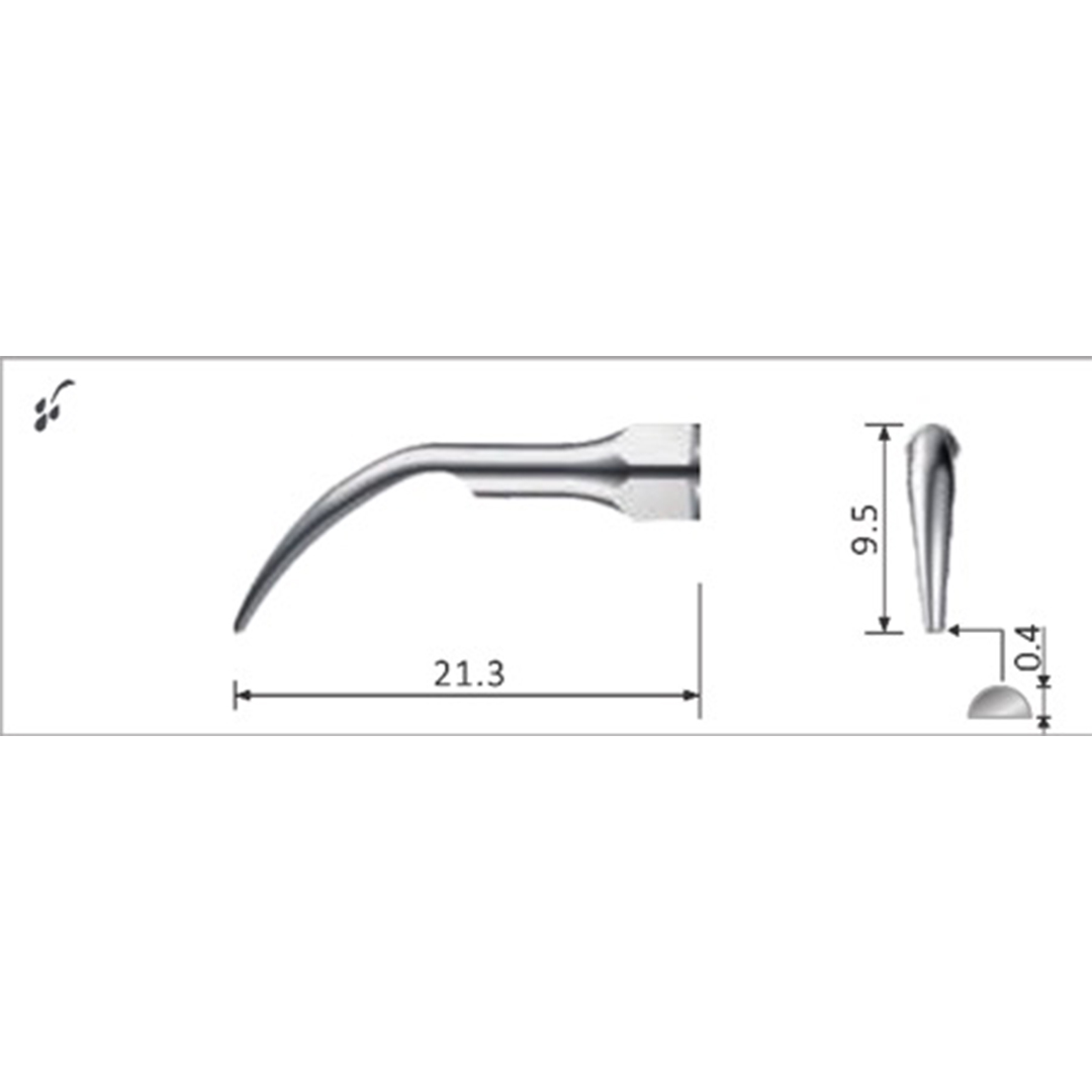 QSU055 : Scaling Tips SType Scaling Tip AG1
