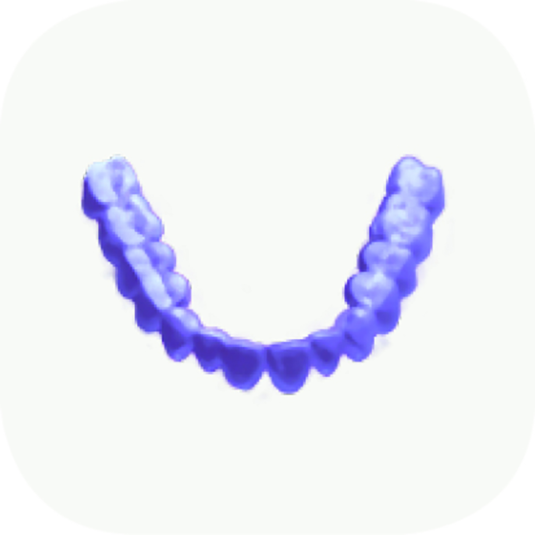 QWT491 Splint Studio