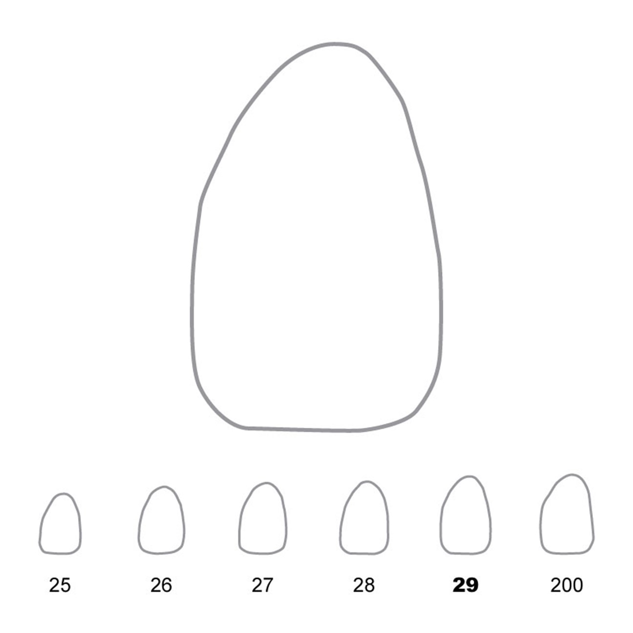 TCS029 : Temporary Crowns Upper Lateral Incisors Left 29