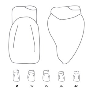Buy Clear Crown Forms - Temporary Crowns & Cements - DD
