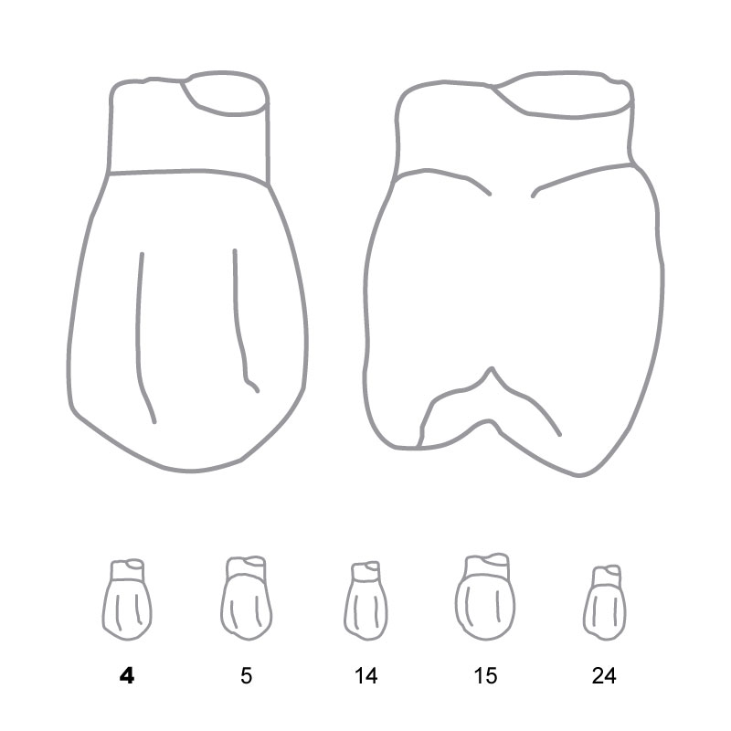 TDO004 : Odus Pella Transparent Crown Forms BiCuspids 4